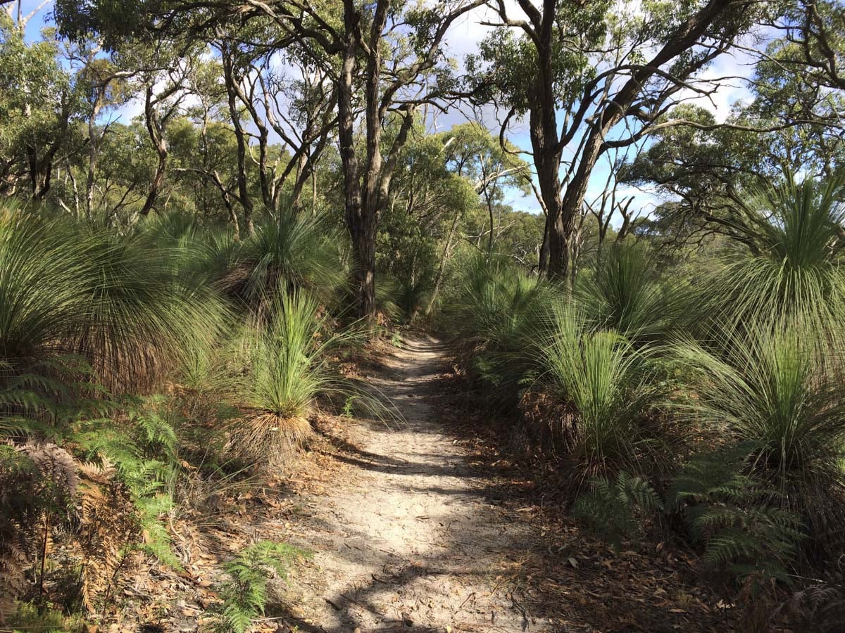 Two Bays Walking Track (28km) - Mornington Peninsula National Park, VIC
